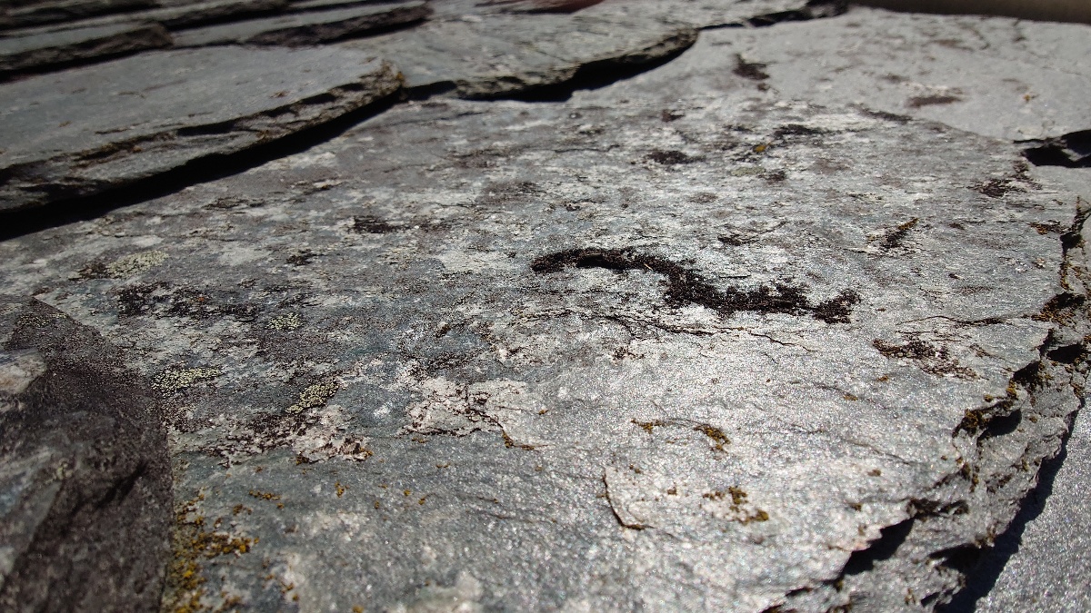 Hva koster bruddskifer (skiferheller)?